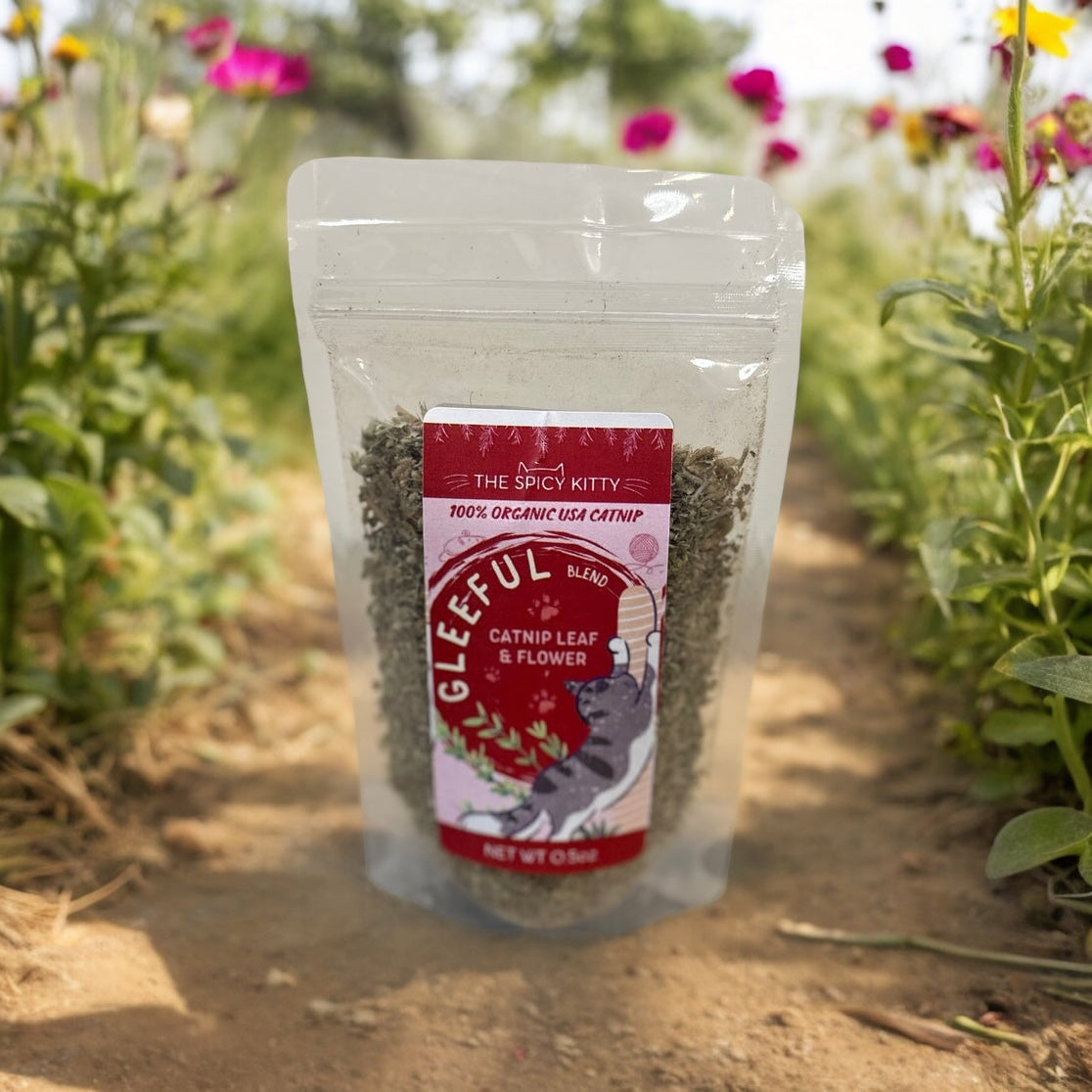 The Spicy Kitty Catnip - Gleeful Blend Exclusively @ Bag of Bones Barkery